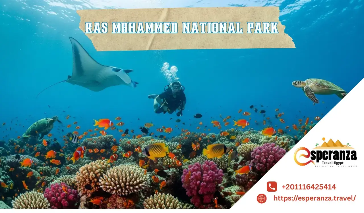 Ras Mohammed National Park Tours with Esperanza Travel